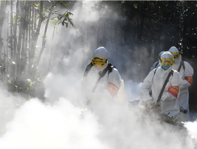 Photos Show How People Around The World Are Disinfecting - Disinfection ...